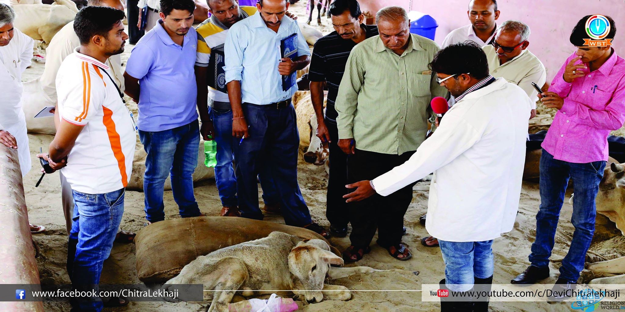 Seva: GAU SEVA DHAM : A hospital for Cows Religion World