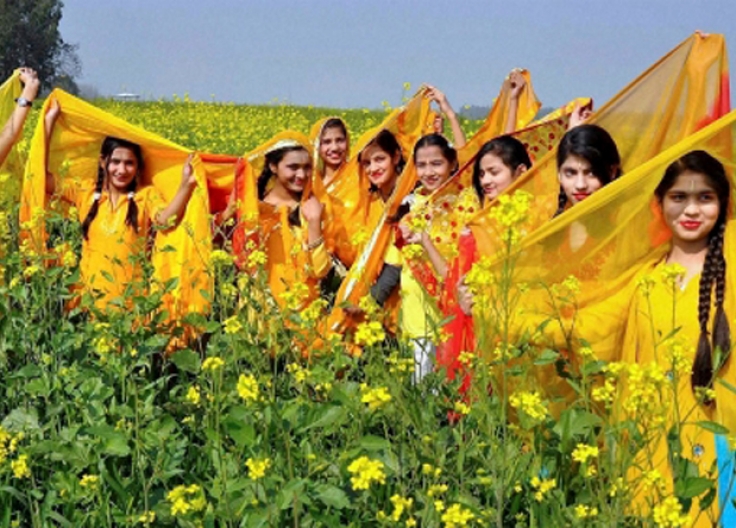 Significance of Yellow color on Basanth Panchami Religion World